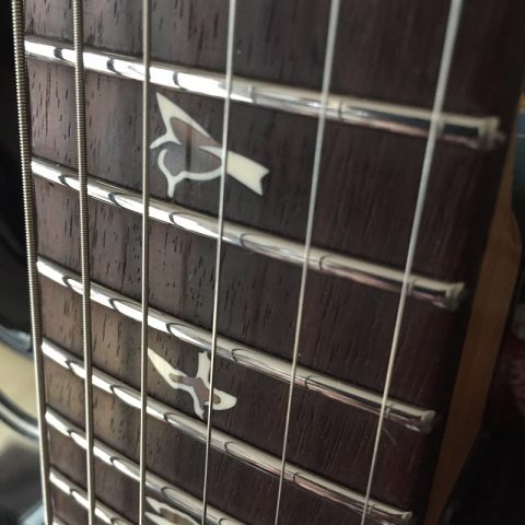 Stainless Steel frets - pros and cons - Wampler Pedals